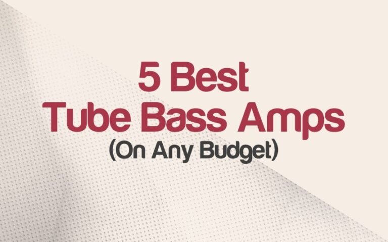 Top 5 Tube Bass Amps 2025 For Warmth & Depth