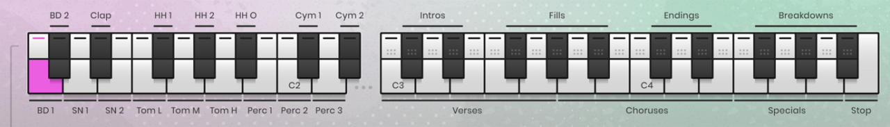 Top 6 Plugins For Latin Music 2025 (And 4 FREE Tools)