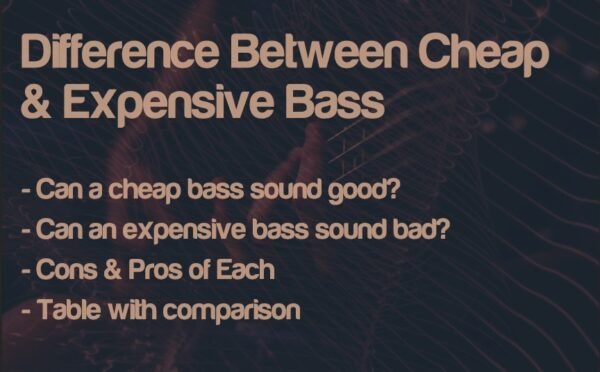 Cheap Vs Expensive Bass Guitar: What's The Difference?