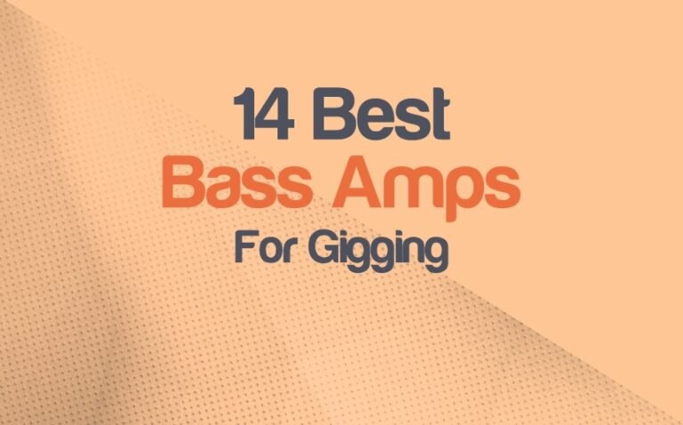 The 13 Best Bass Combo Amps For Gigging