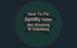 Spotify Video Player Not Working? - 12 Tips
